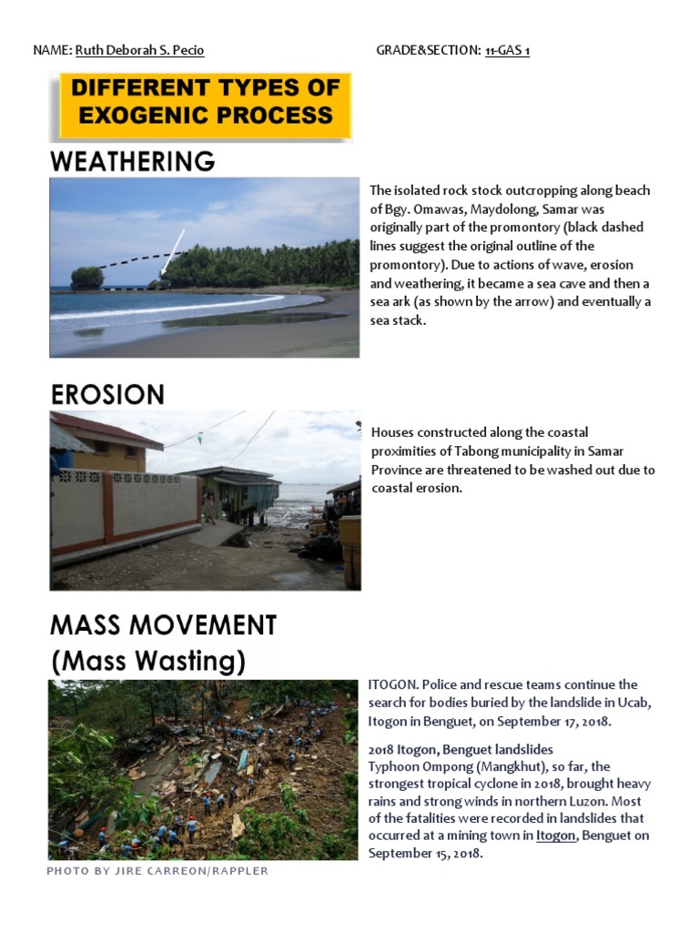 Different Types of Exogenic Process | PDF