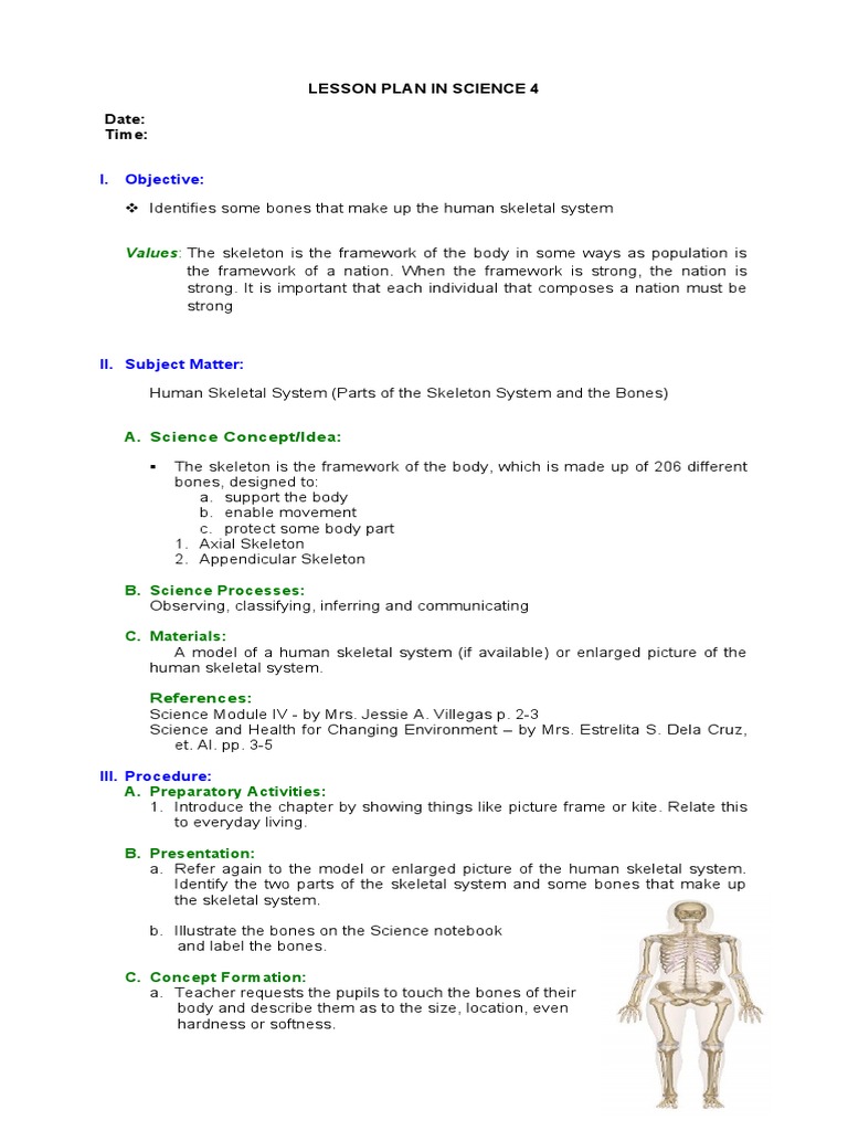 Grade 4 Skeletal System Lesson Plan | PDF | Skeleton | Bone