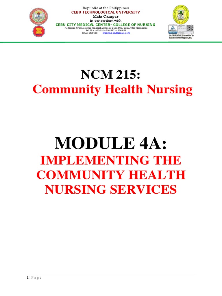 Community Health Nursing Implementation | PDF | Birth Control ...