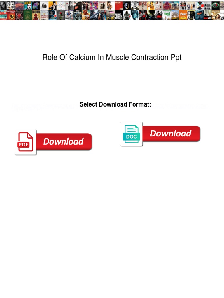 Role of Calcium in Muscle Contraction | Download Free PDF | Muscle ...