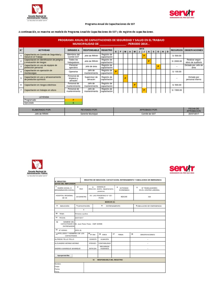 Descargable3 - Programa Anual de Capacitaciones de Seguridad y Salud en El Trabajo | PDF