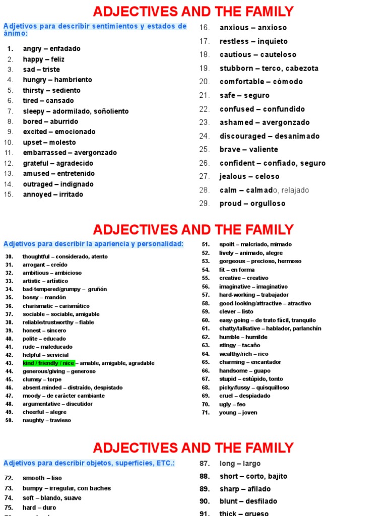 Adjectives and The Family | PDF