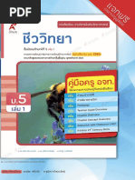 PrototypeWireframe UX UI CyberKit.v2 | PDF