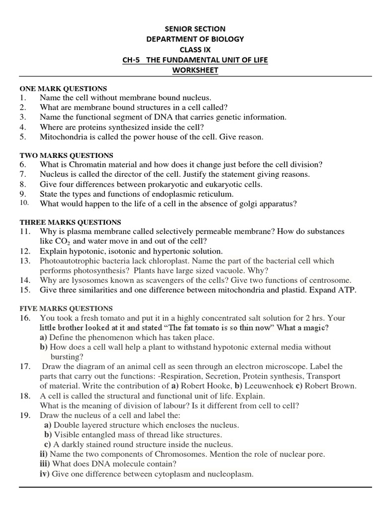 CBSE Class 9 Science Worksheet - Fundamental Unit of Life | PDF | Cell ...