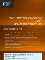 Rodak 7th | PDF | Blood Cell | Red Blood Cell