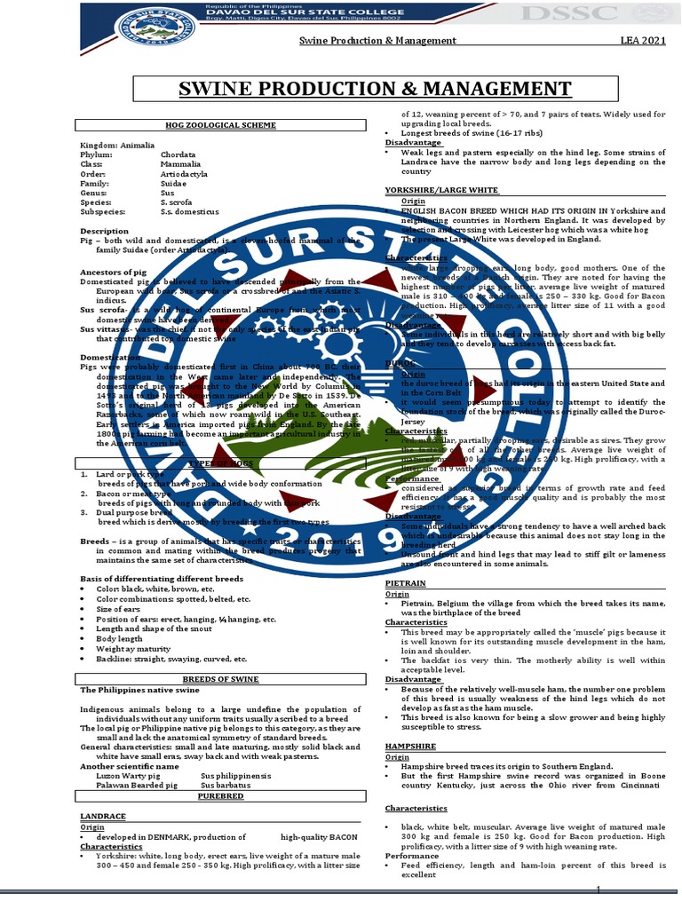 As - Swine Production | PDF | Domestic Pig | Selective Breeding