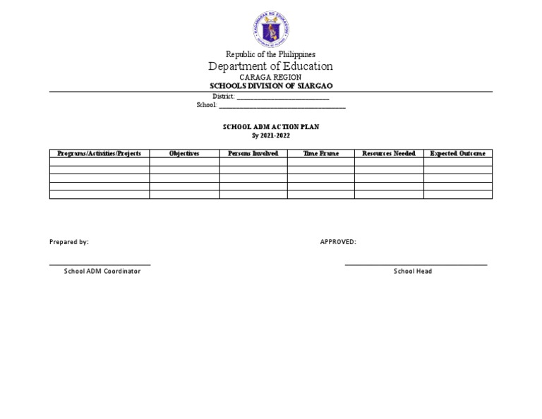 ADM Action Plan Template | PDF