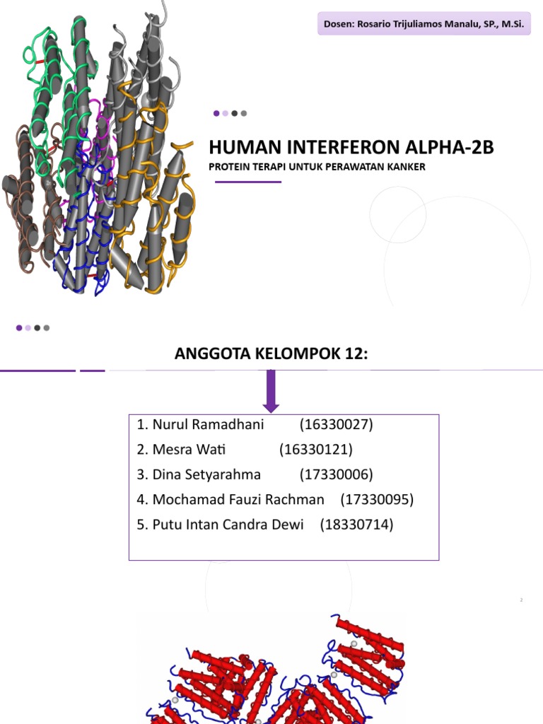 Human Interferon Alpha-2b | PDF