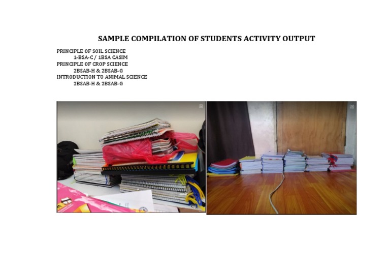 Student Activity Output Compilation | PDF
