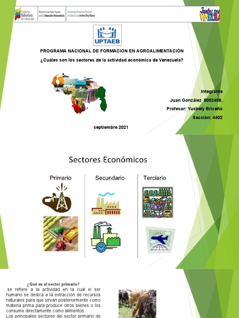 Sectores de La Actividad Economica Juan | Descargar gratis PDF ...