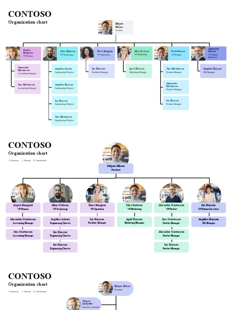 CONTOSO | PDF | Economies | Business