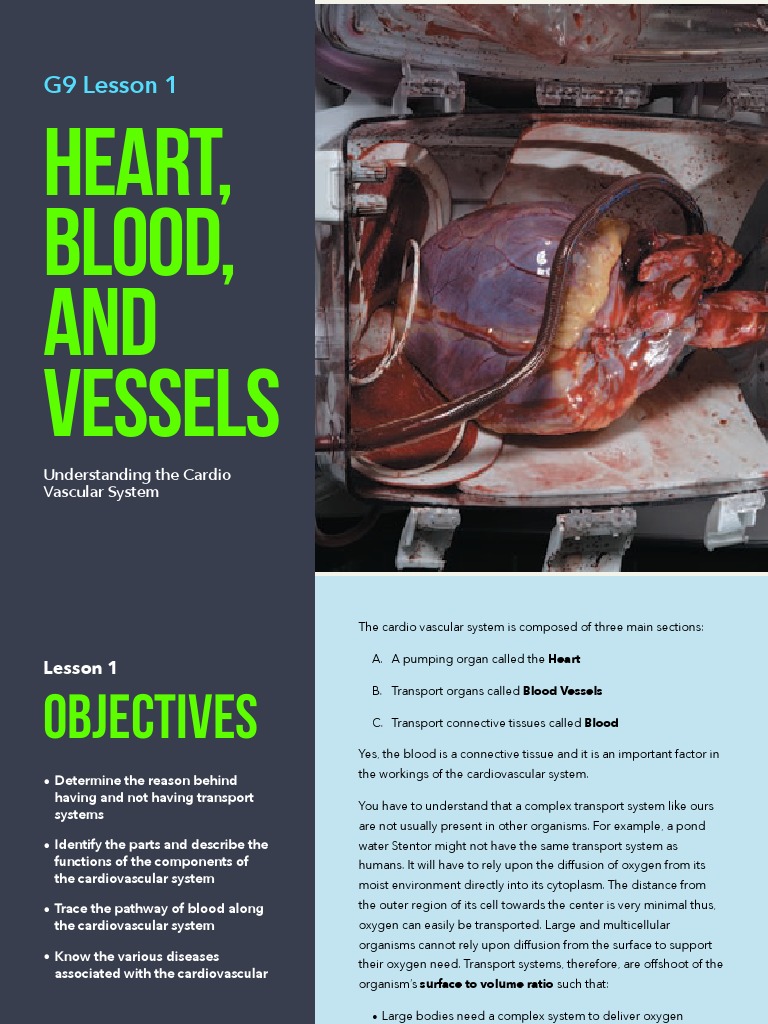 Understanding the Cardiovascular System: Tracing the Pathway of Blood ...
