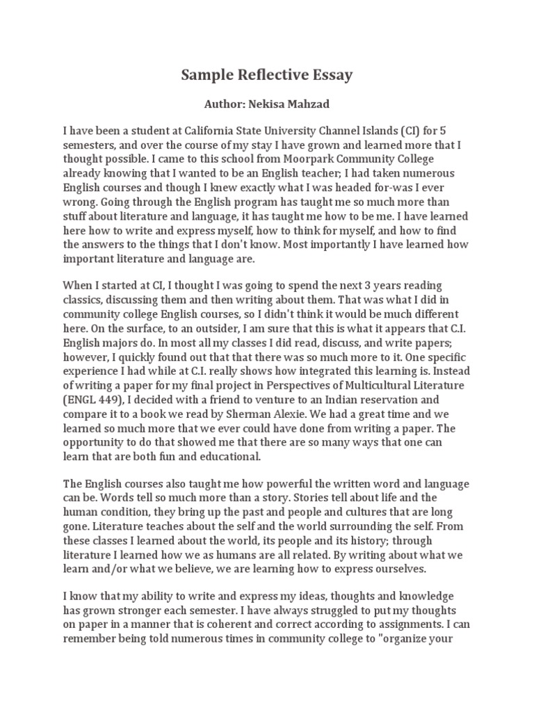 Reflective Essay Example 45 | PDF | Essays | Cognition