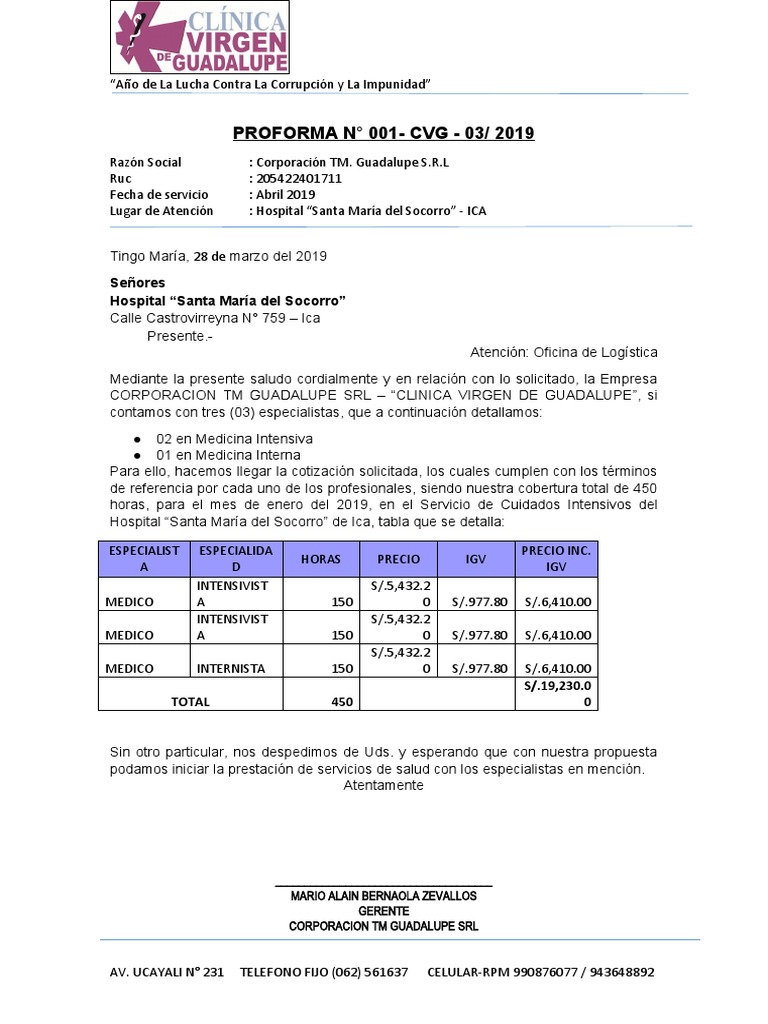 Proforma de Servicios Médicos en Ica | PDF | Medicina | Ciencias de la ...