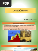 La Región Suni | PDF
