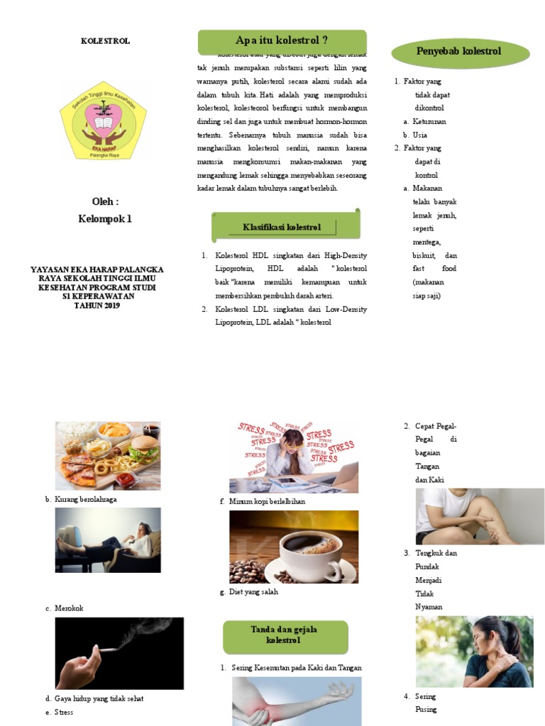 Leaflet Kolestrol Kel 1 | PDF