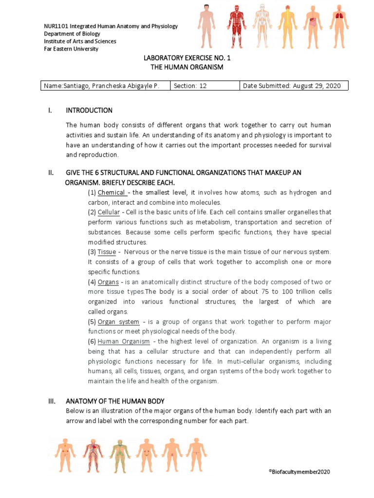 NUR11O1 Integrated Human Anatomy and Physiology Department of Biology ...