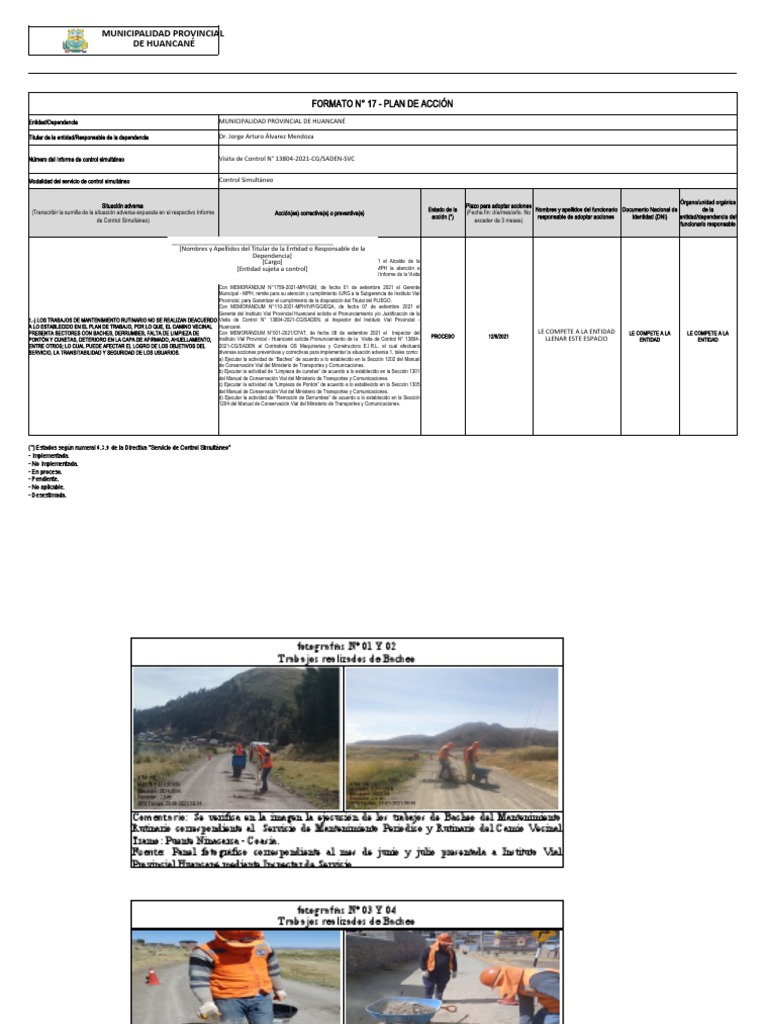 Formato 17 Plan de Accion | PDF