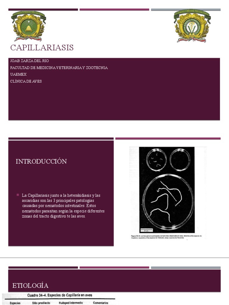 Capillariasis | PDF | Diarrea | Nematodo