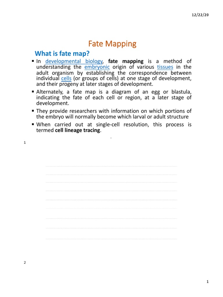 Fate Mapping - Gastrulation - Lec Notes - KMZR | PDF | Zoology | Embryo