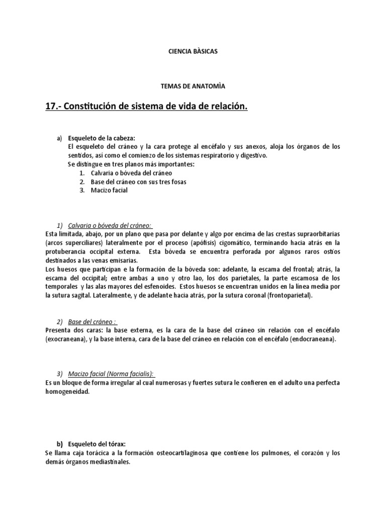ANATOMIA GUIA ENURM 17-18 CB Anatomia | PDF | Articulación | Cráneo