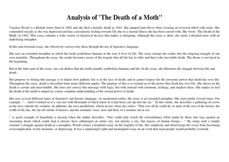 Analysis of The Death of A Moth | PDF | Essays | Metaphor