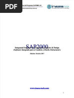 Manual de Aplicación Del SAP2000 (Español) PDF | PDF | Braguero | Software