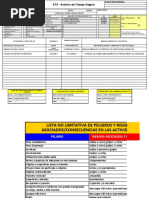 Ejemplo Del Llenado de ATS | PDF | Science | Ciencia (general)