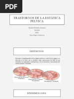 Ejercicios de Risser | PDF | Pie | Especialidades Medicas