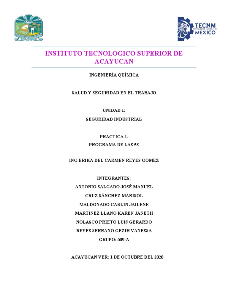 Proyecto 5 S Hogar | PDF
