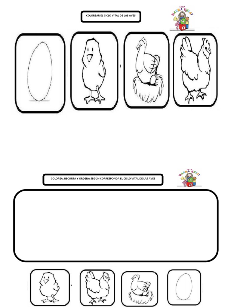 Ciclo Vital de Las Aves | PDF