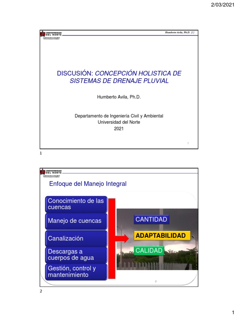 Concepción Holística Drenaje Pluvial | PDF | Agua | Contaminación