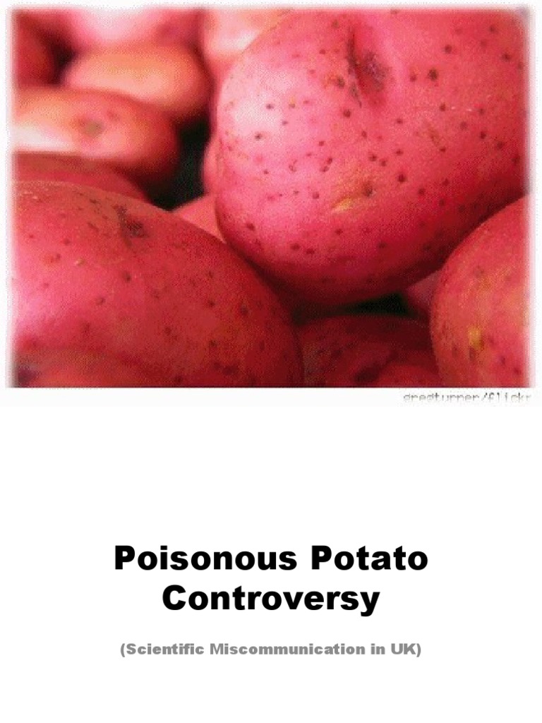 Poisonous Potato Controversy | PDF | Genetics | Life Sciences