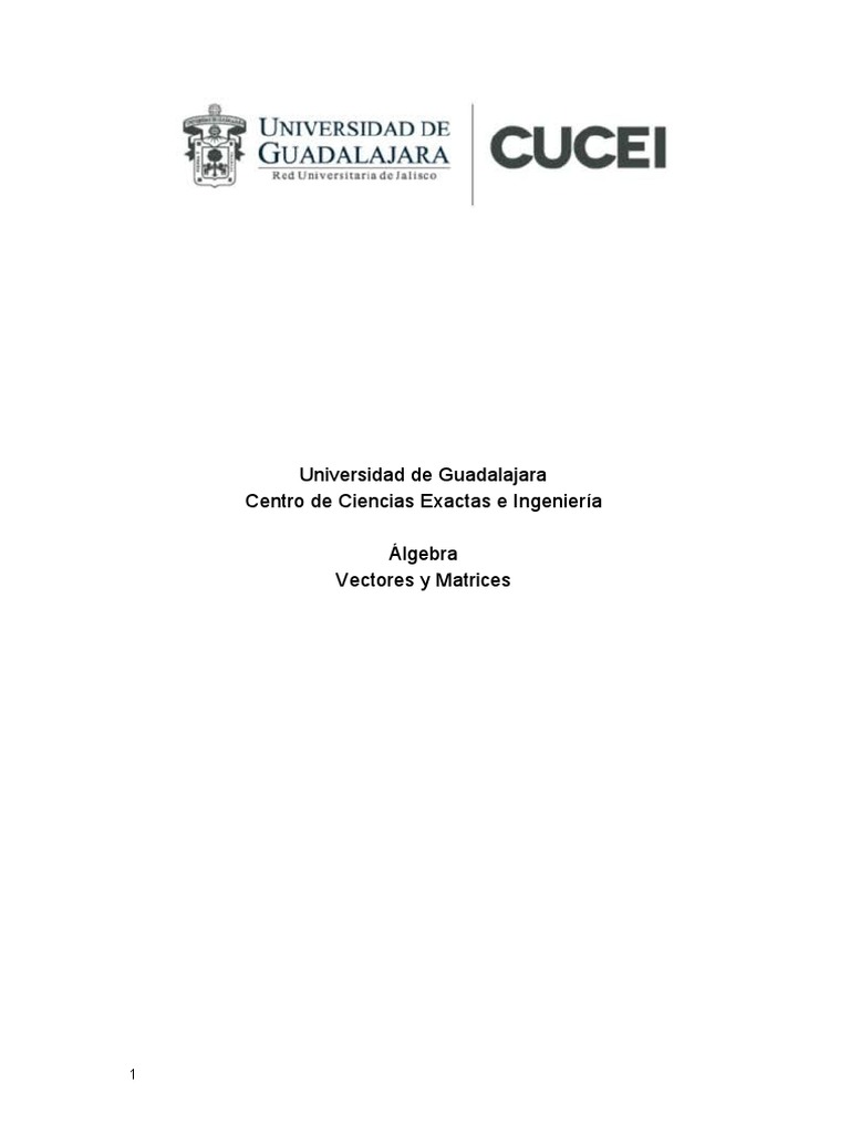 Algebra-Vectores y Matrices | PDF | Matriz (Matemáticas) | Determinante
