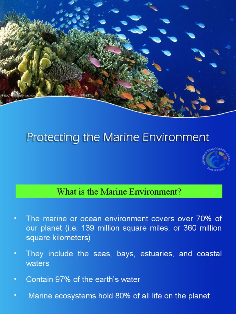 Importance of Marine Ecosystems Explained | PDF | Coral Reef | Coast