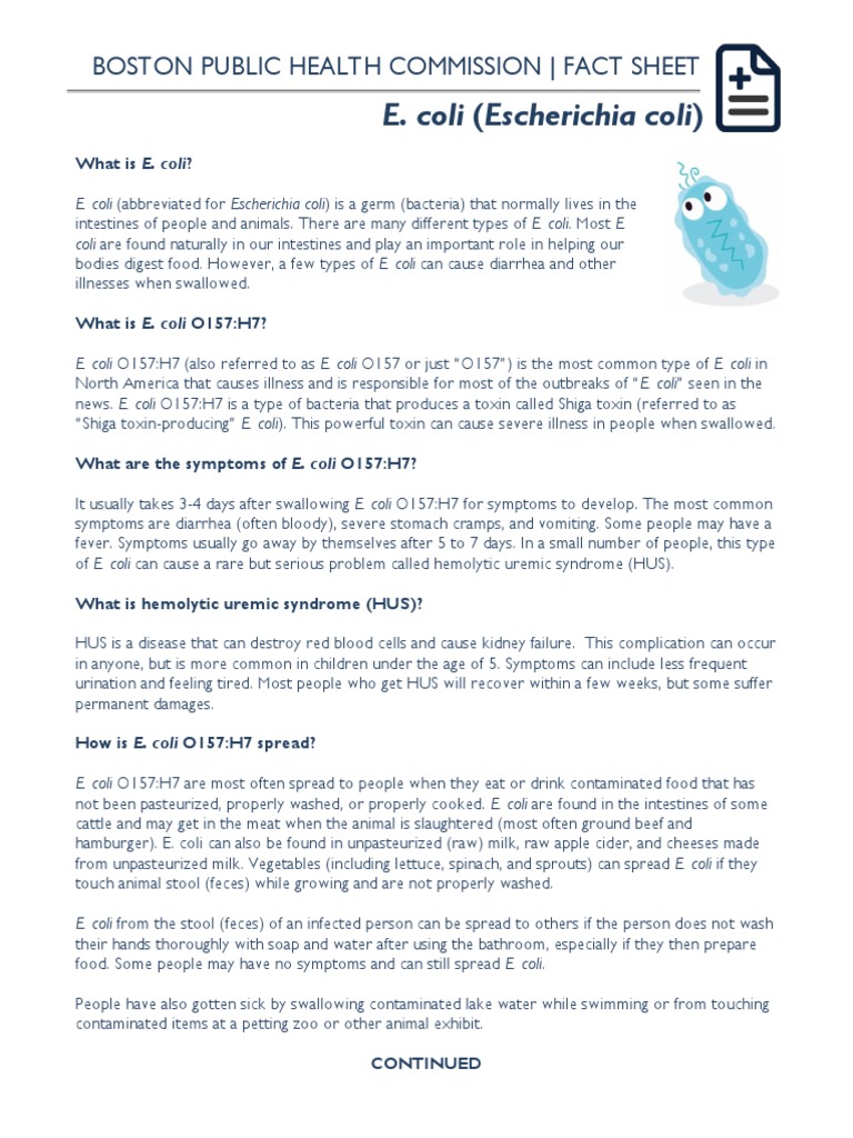 E Coli | PDF | Escherichia Coli | Public Health