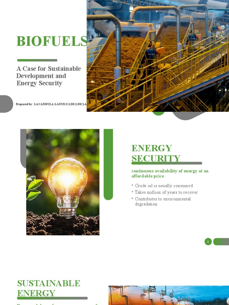 Case Study | PDF | Biofuel | Biodiesel