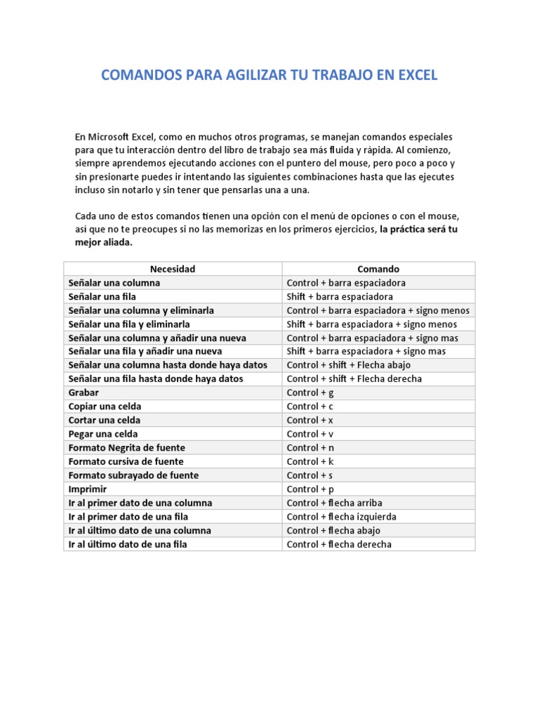 Comandos para Agilizar Tu Trabajo en Excel | PDF