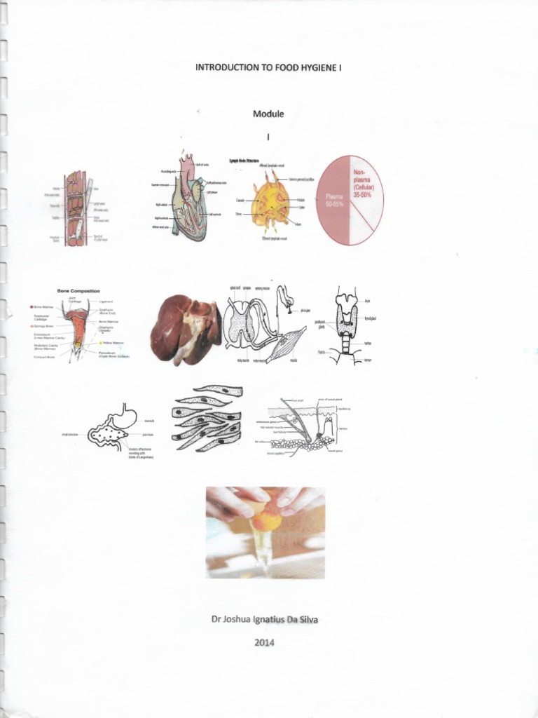 Food Hygiene Book 1 | PDF