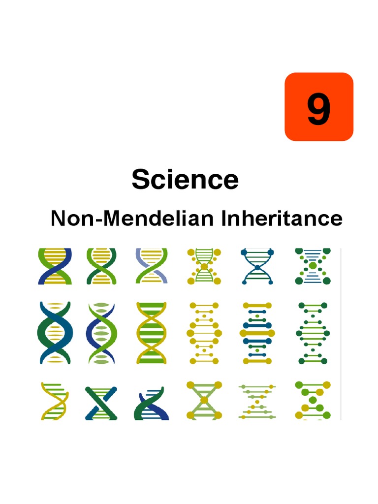 Module 3 Patterns of Inheritance | PDF | Dominance (Genetics) | Zygosity