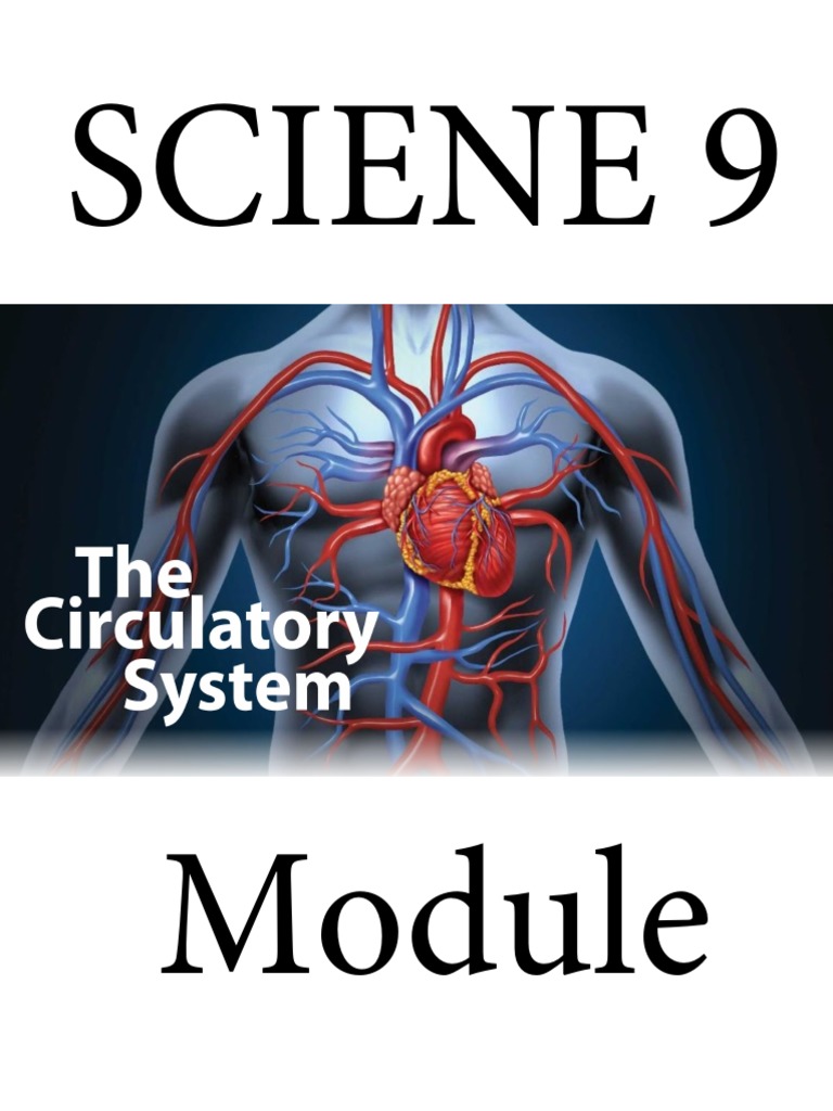 Lesson 1 - Module 1 - Circulatory System | PDF | Circulatory System | Heart