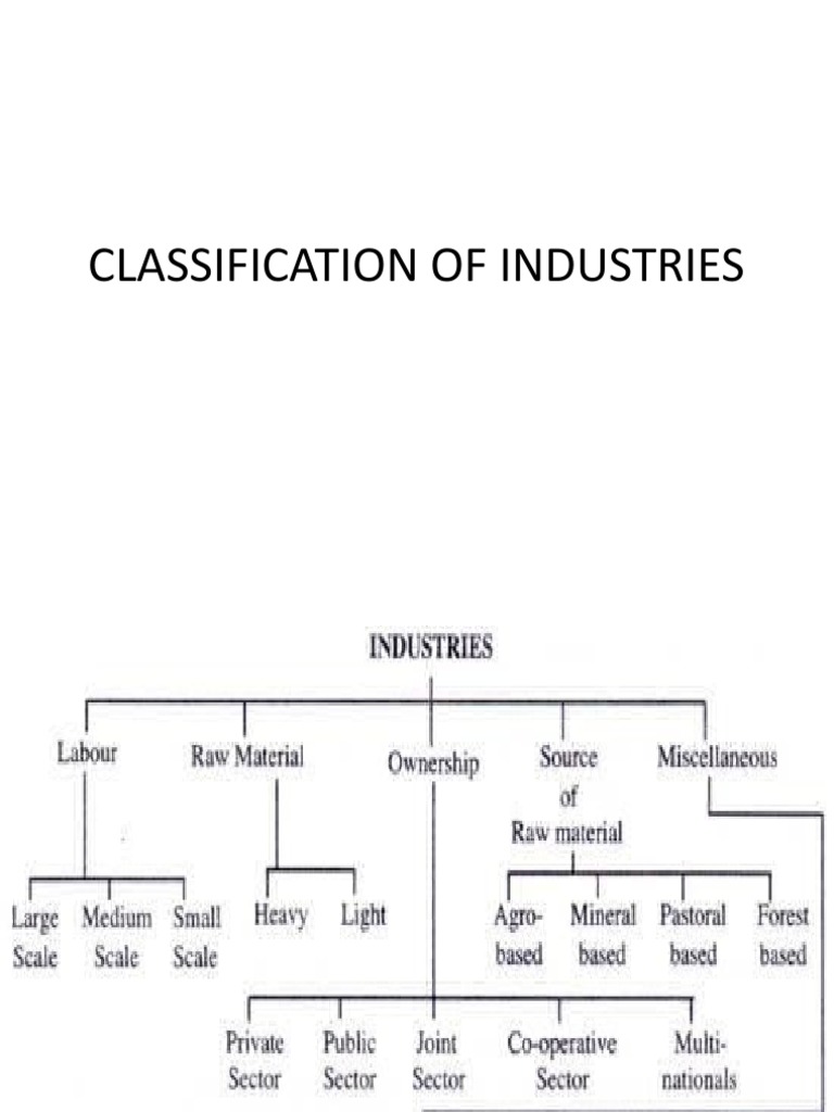 Classification of Industries | PDF | Capital Intensity | Leather