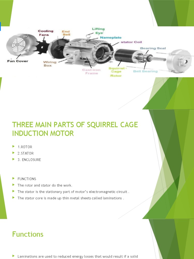 Squirrel Cage Induction Motor | PDF
