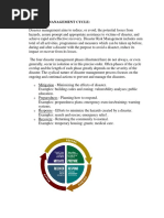 Roles and Responsibilities of SDRRM Team | PDF | Emergency Management | Emergency