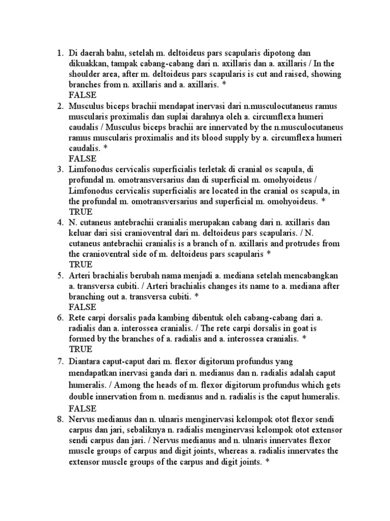 Anatomi Sistem Saraf dan Vaskular Kambing | PDF