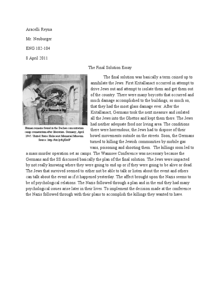 The Final Solution: Holocaust Overview | PDF