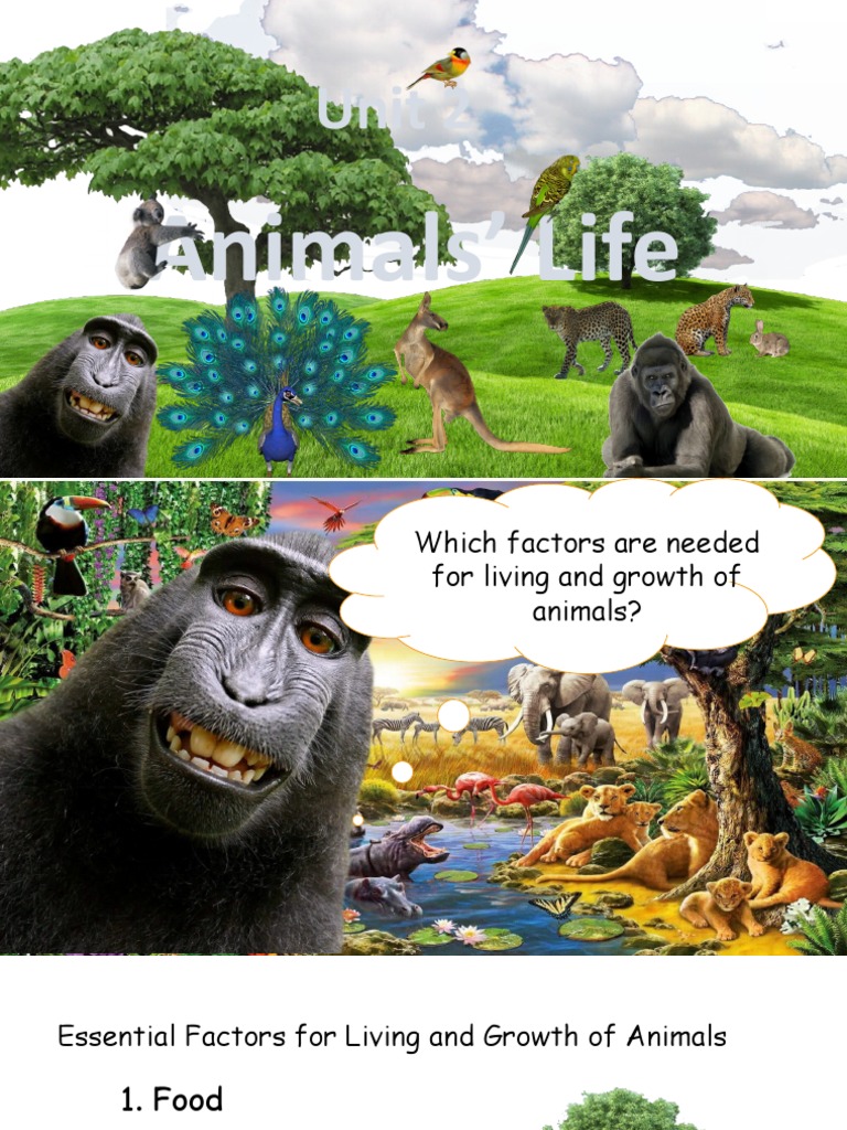 Unit 2 Animals | PDF | Zoology | Biology