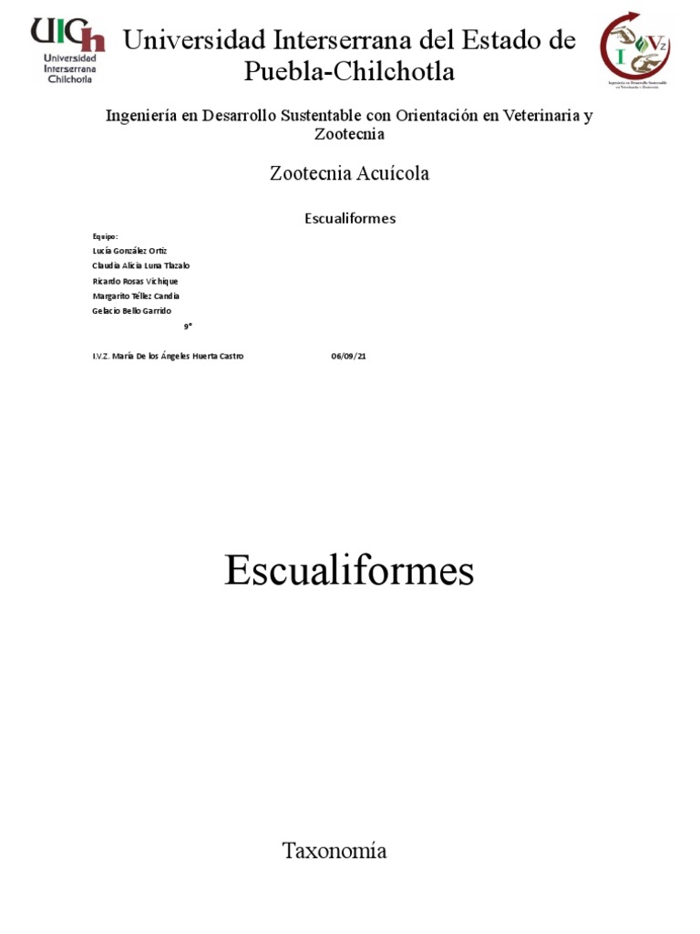 Escualiformes | PDF | Tiburones | Zoología