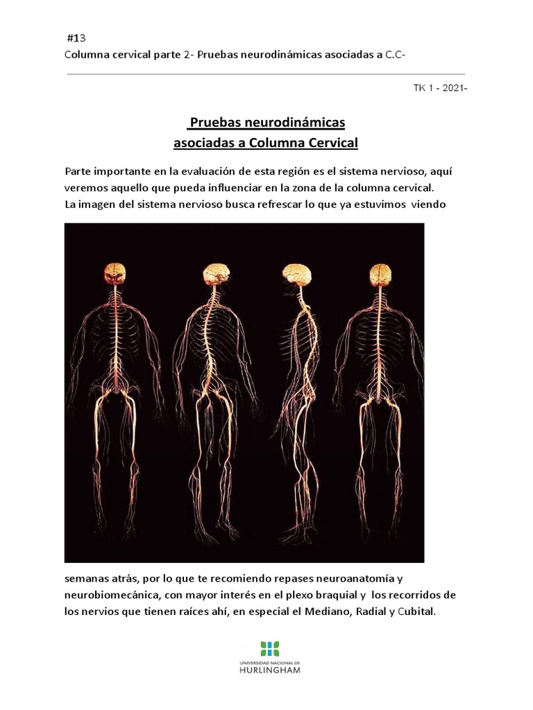 Neurodynamic Tests for the Cervical Spine: Upper Limb Tests to Assess ...