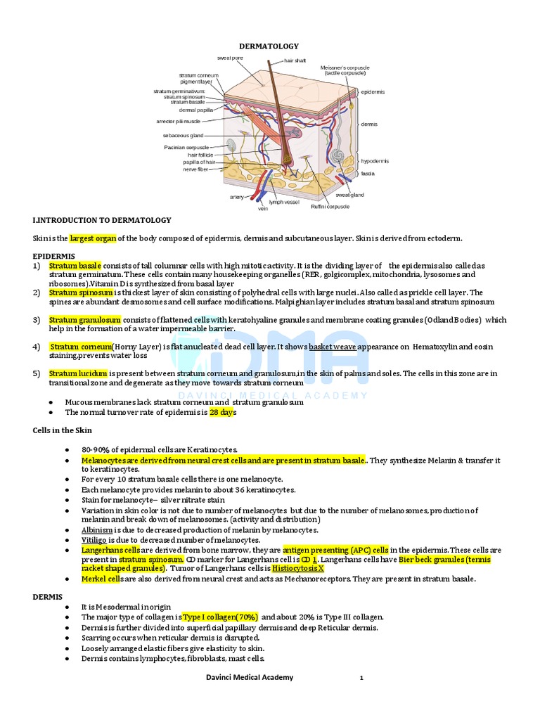 Dermatology Notes | PDF | Psoriasis | Dermatitis